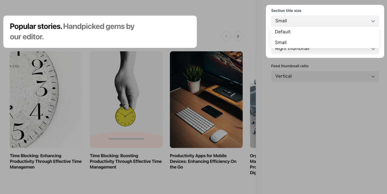 Small text for section title — Themex Studio