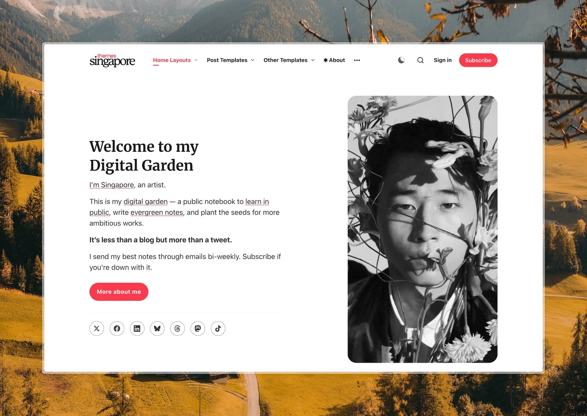 New Hero Designs & Header Submenu Options — Themex Studio