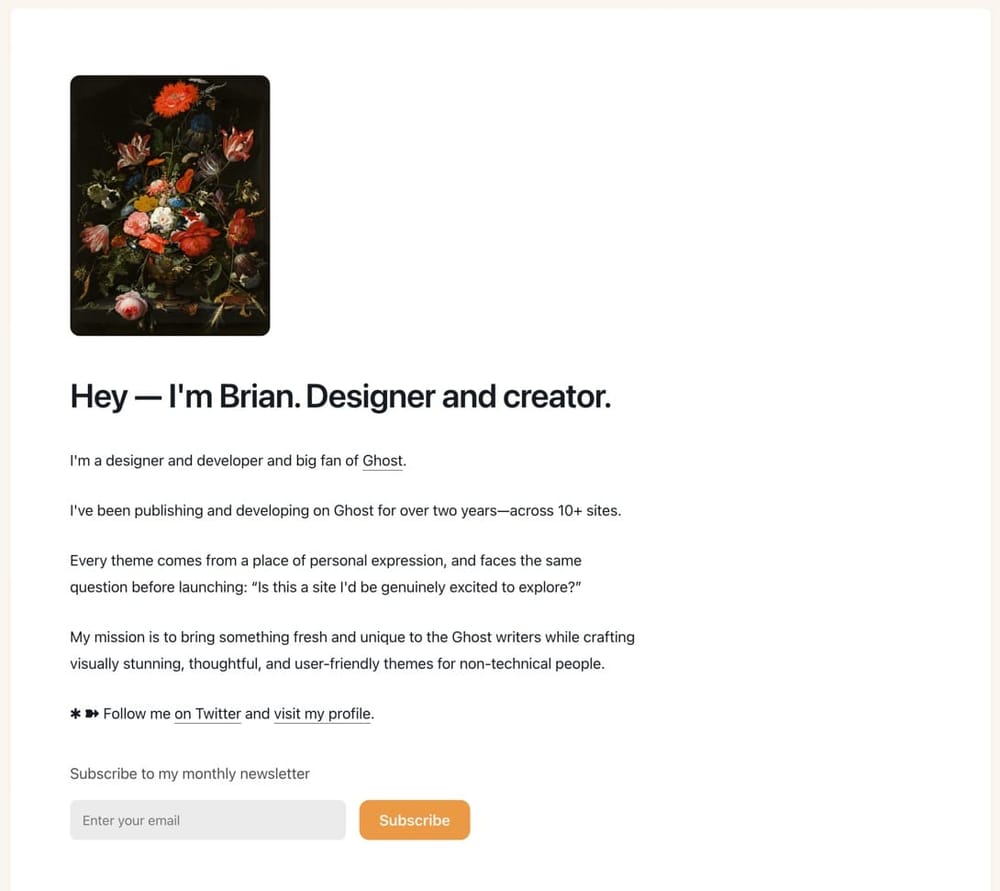 Braun Documentation — Themex Studio