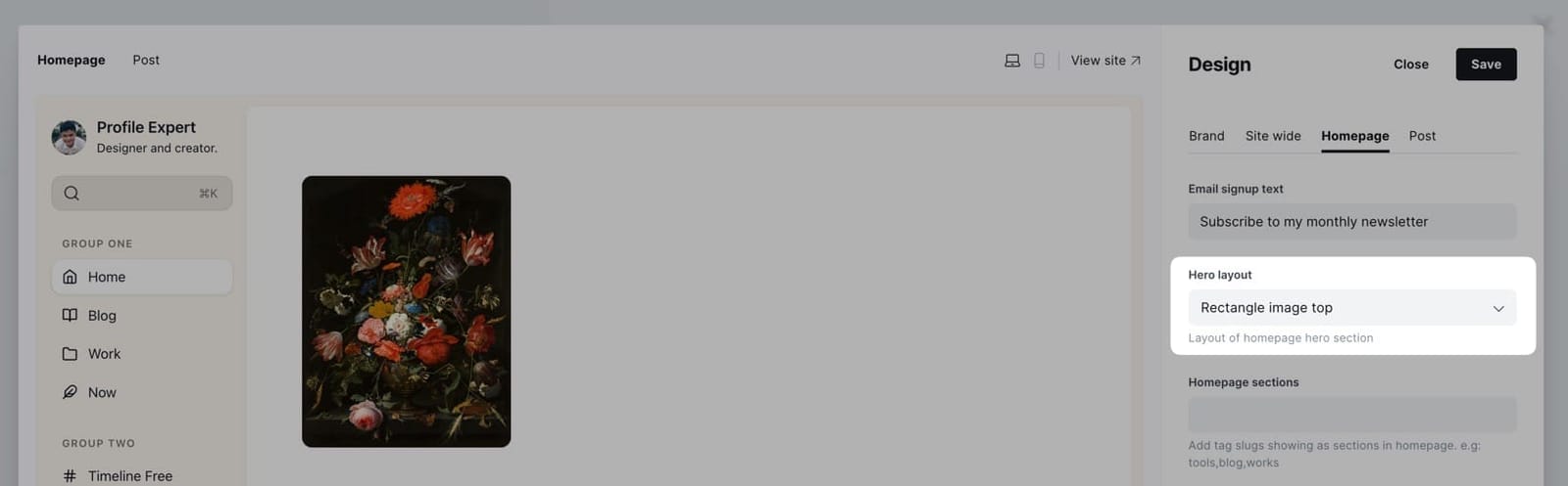 Braun Documentation — Themex Studio