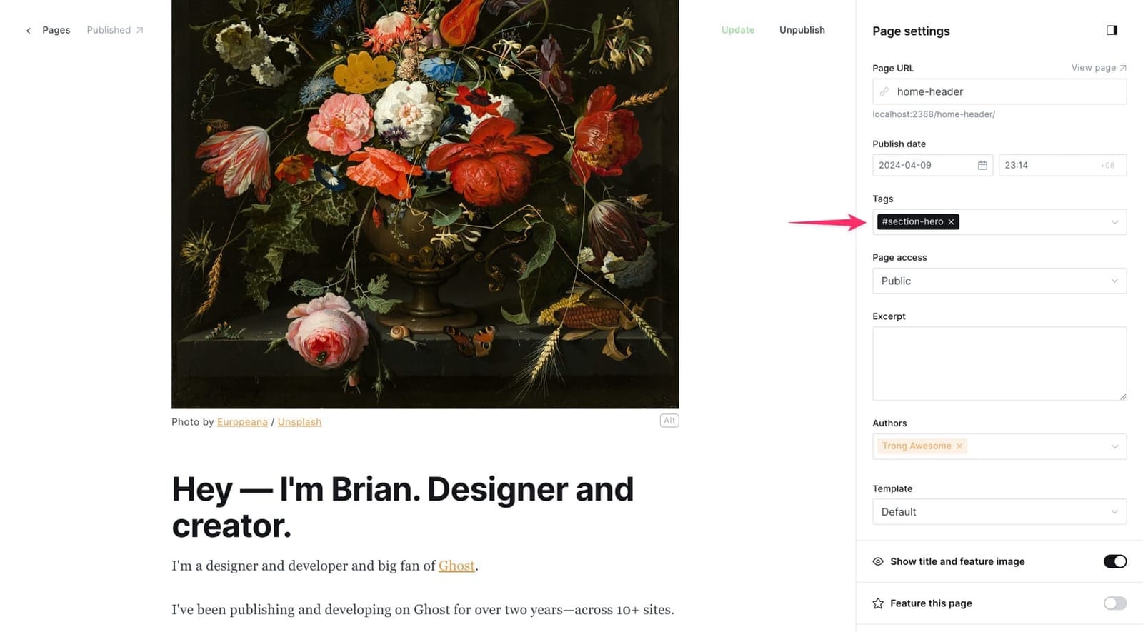 Braun Documentation — Themex Studio